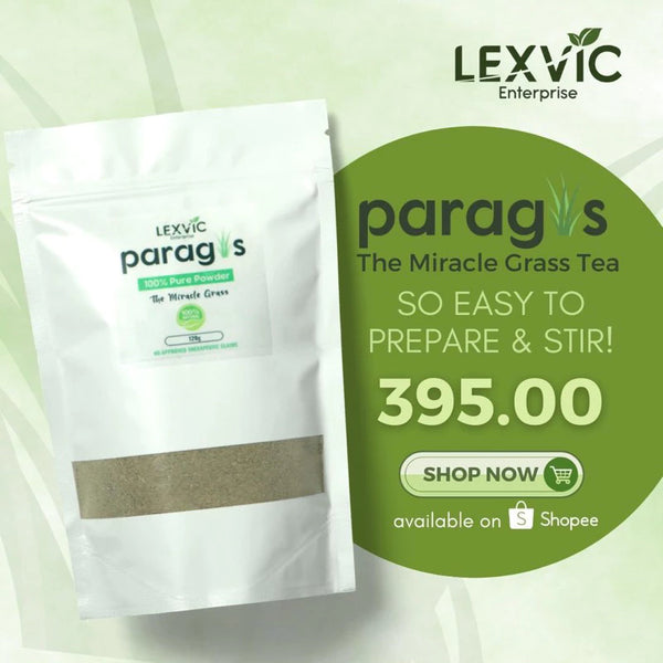 Paragis Tea Powder 120g by Lexvic Enterprise – Paragis by Lexvic